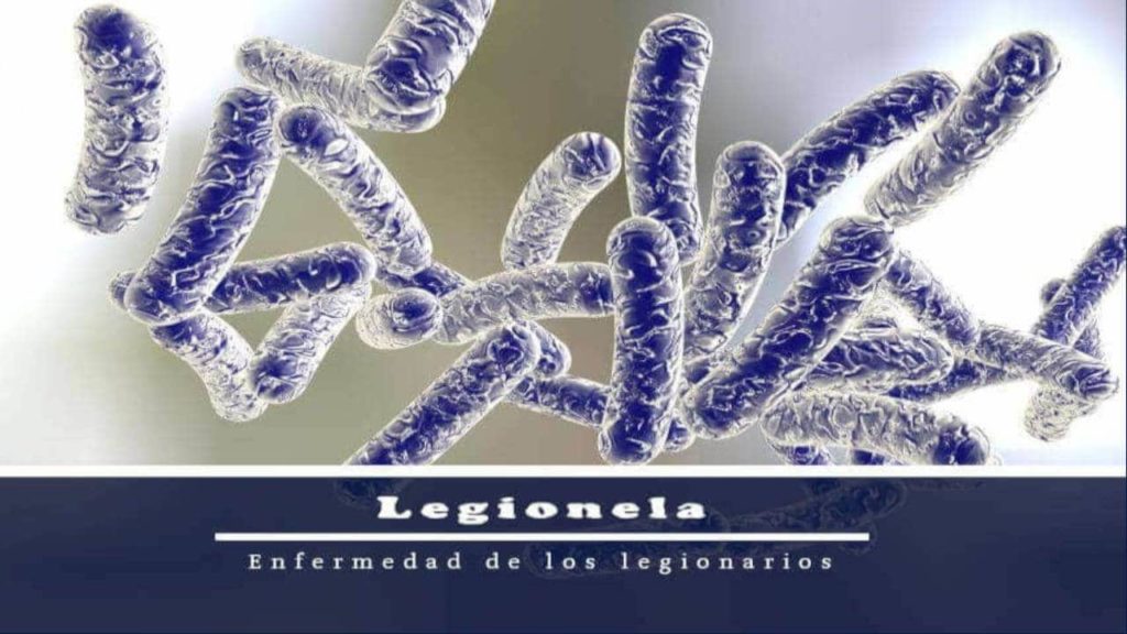 Legionela | ¿Que es y cual es su tratamiento? - APINSA